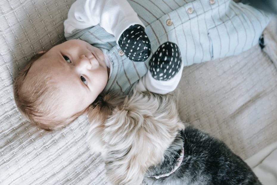 Sinais de autismo em bebês: um guia simples para diferenças de ...